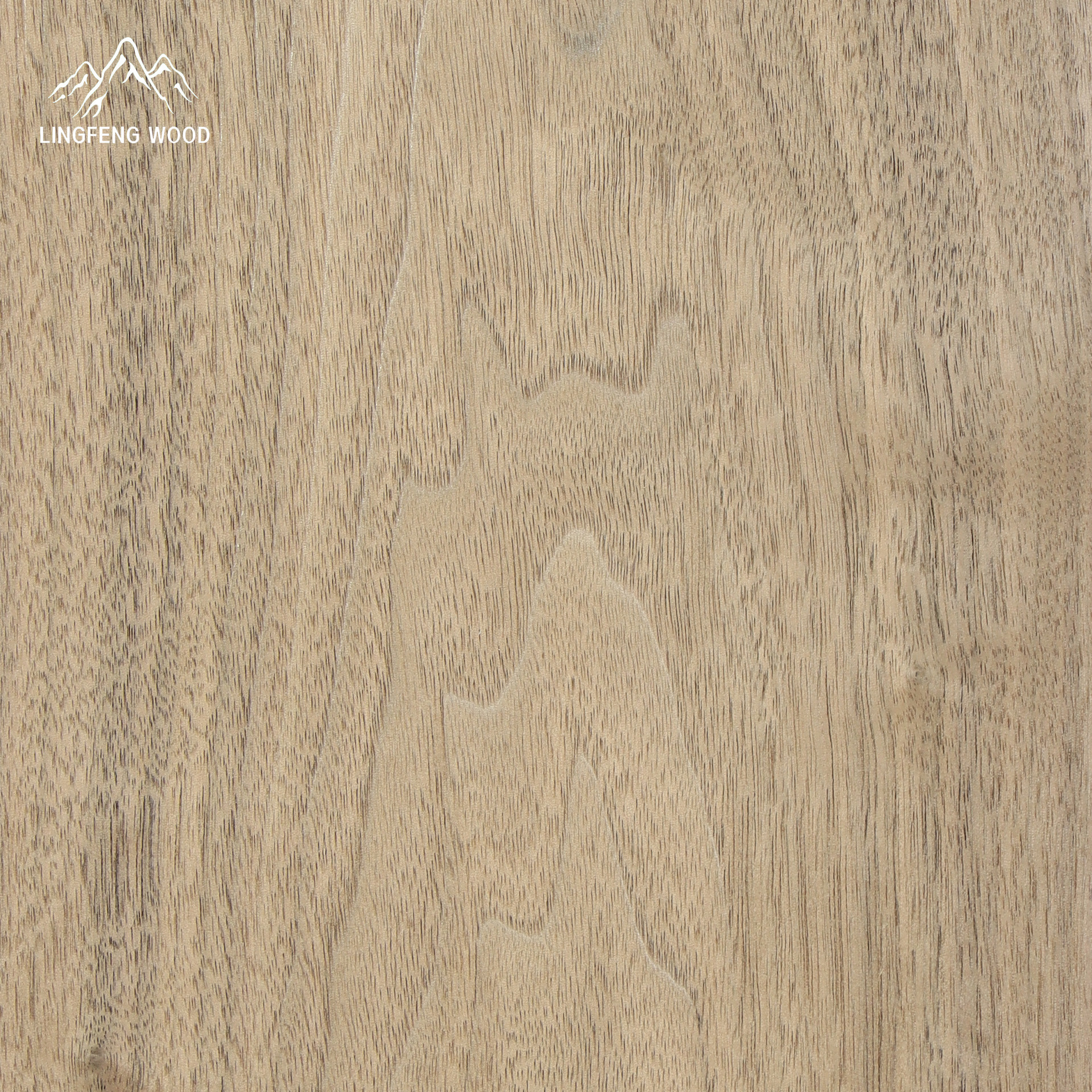 Walnut Veneer | Crown Cut | 0.45mm | LINGFENG