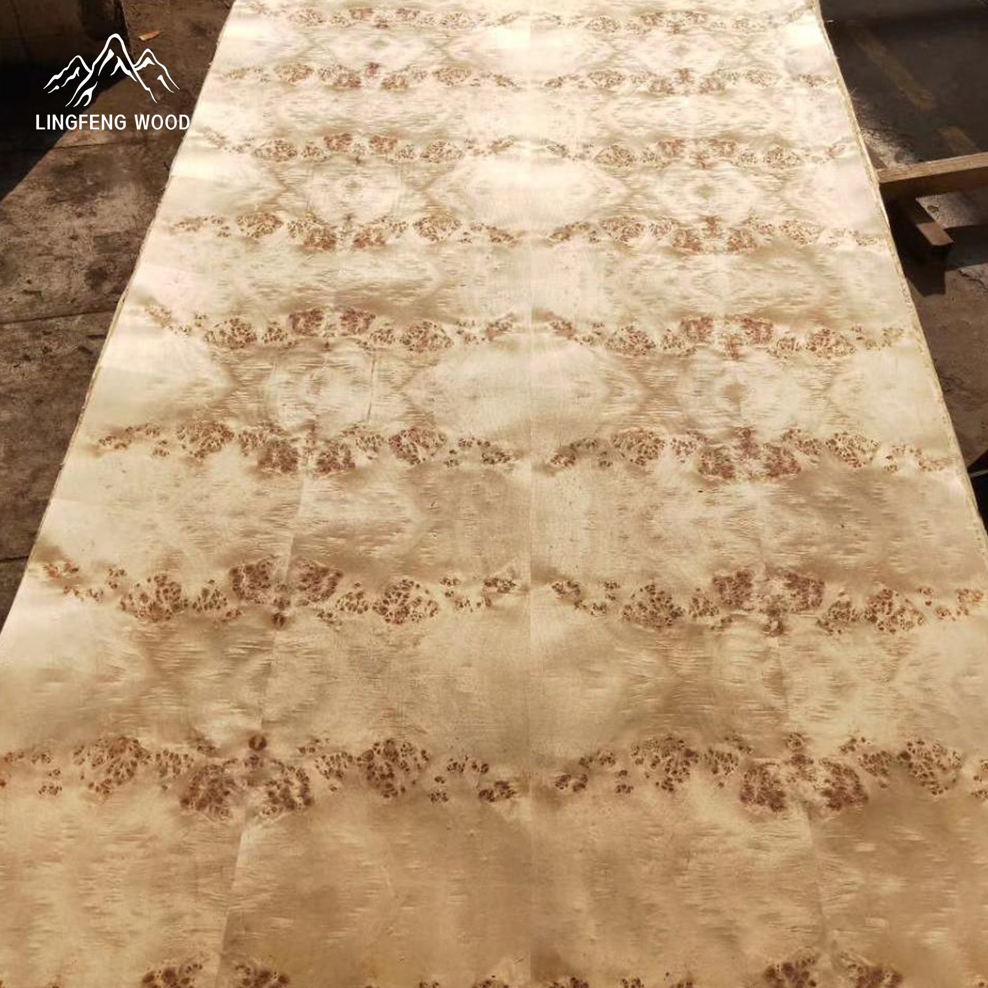 Mappa Burl Veneer Panel for Luxury Furniture & Cabinetry
